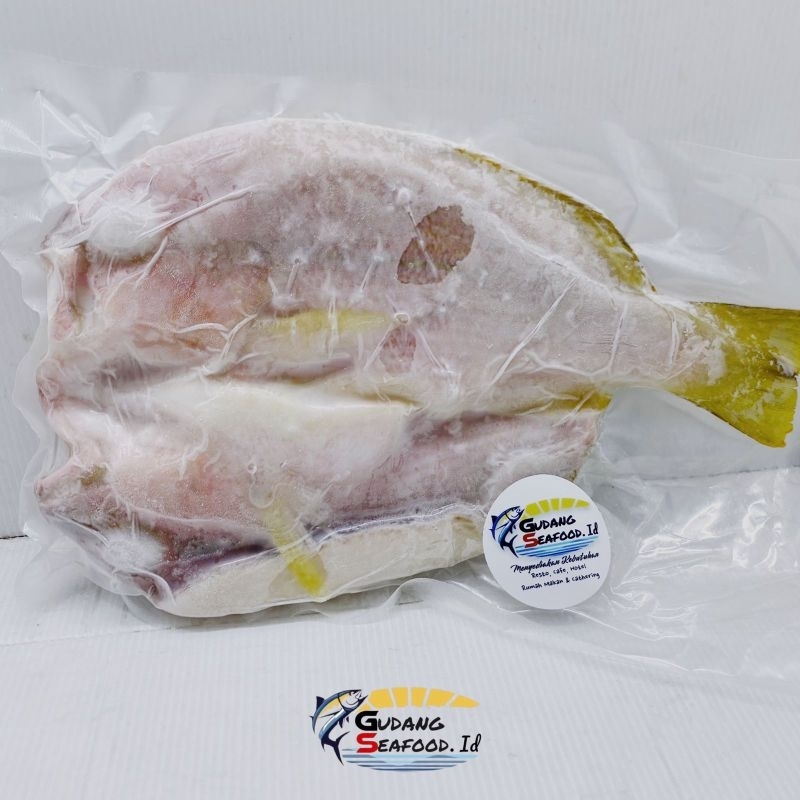 Jual Ikan Kakap Tanda Belah 400-600 gram/ekor | Shopee Indonesia