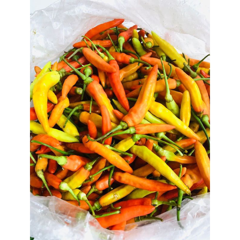 Jual CABE RAWIT/CABE SETAN 500g | Shopee Indonesia