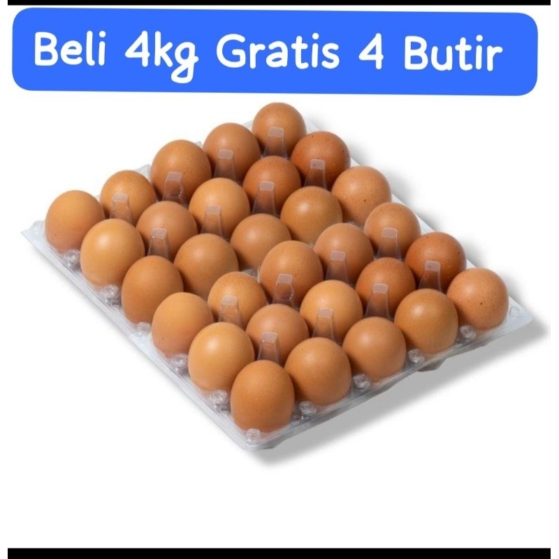 Jual Paket Telur beli 4kg gratis 4 butir (INSTANT & SAMEDAY) | Shopee ...