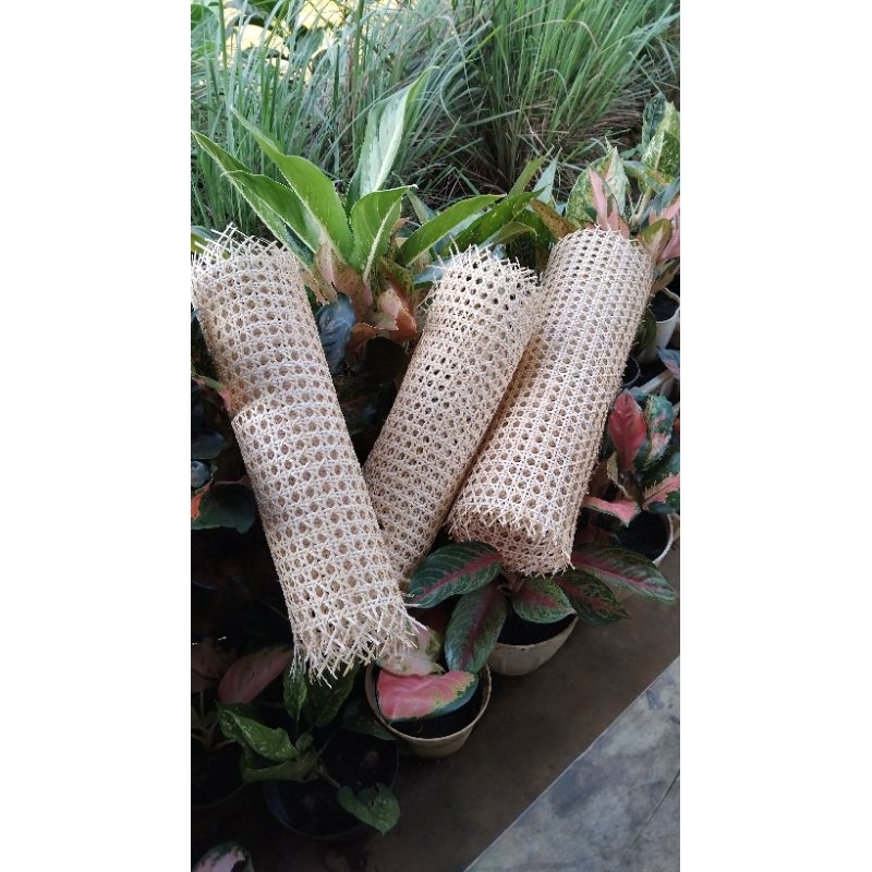 Jual webing anyaman rotan bunga tanjung | Shopee Indonesia