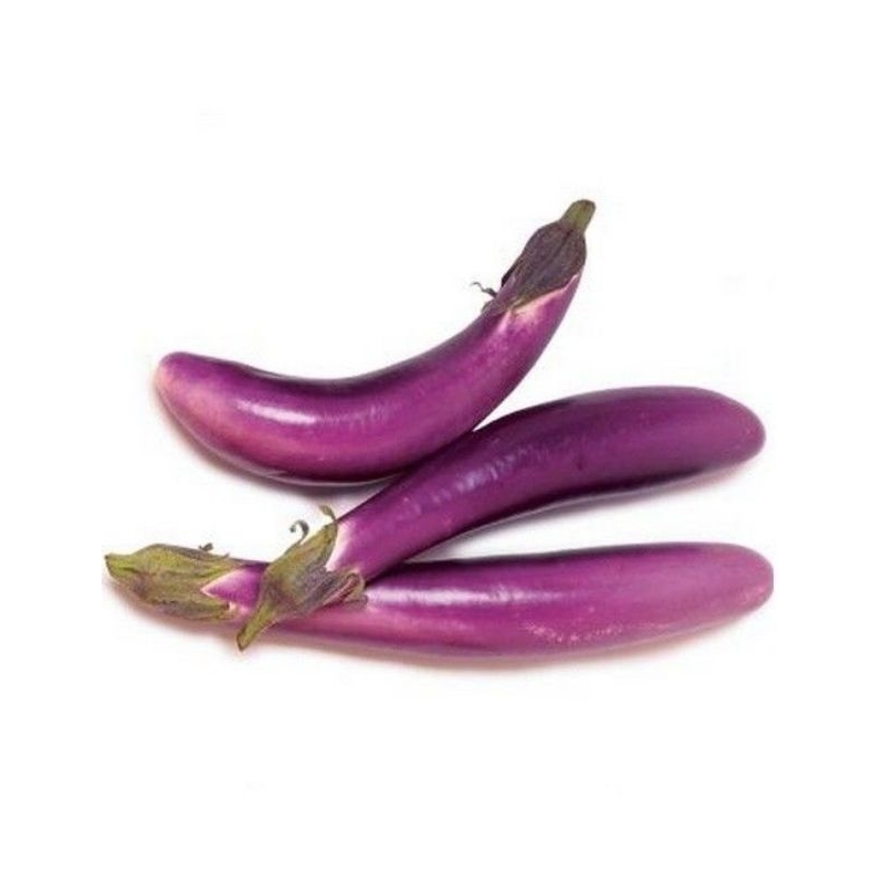 Jual Sayur Terong ungu 500 gr - Surabaya | Shopee Indonesia