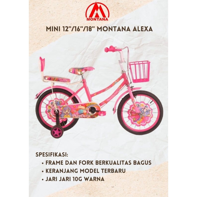 Jual SEPEDA ANAK PEREMPUAN / SEPEDA ANAK CEWEK UKURAN 12 INCHI / 16 ...