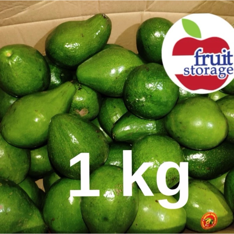 Jual Alpukat Mentega Super fresh buah lokal Avocado Alpokat | Shopee ...