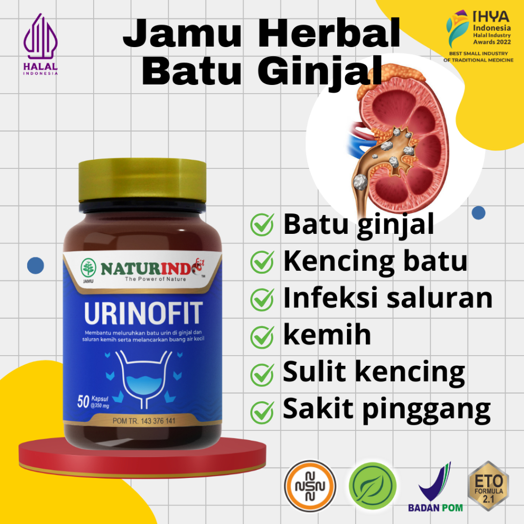 Jual Herbal Obat Batu Ginjal Sakit Pinggang Batu Ginjal Urinofit Naturindo | Shopee Indonesia