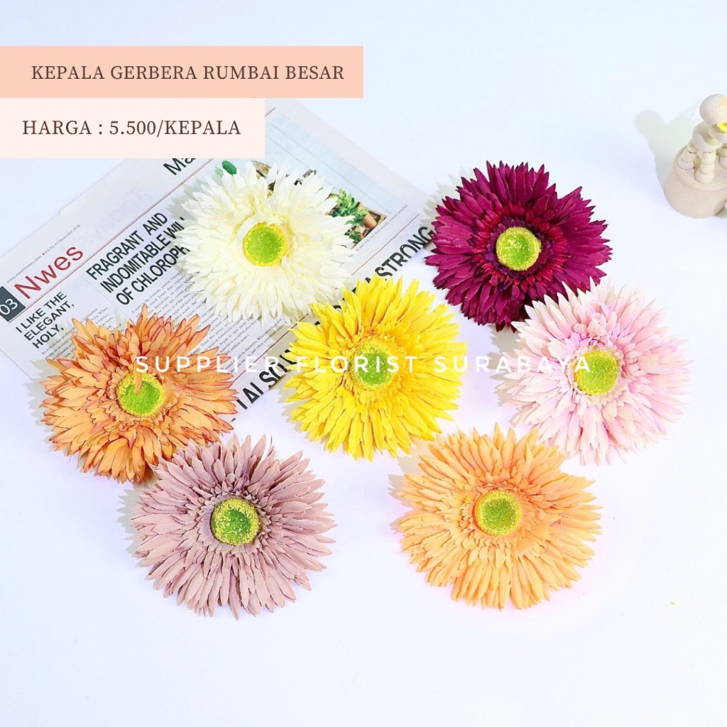Jual KEPALA GERBERA RUMBAI BESAR DIAMETER 10CM CHRYSANT KRISAN CHRYSAN ...