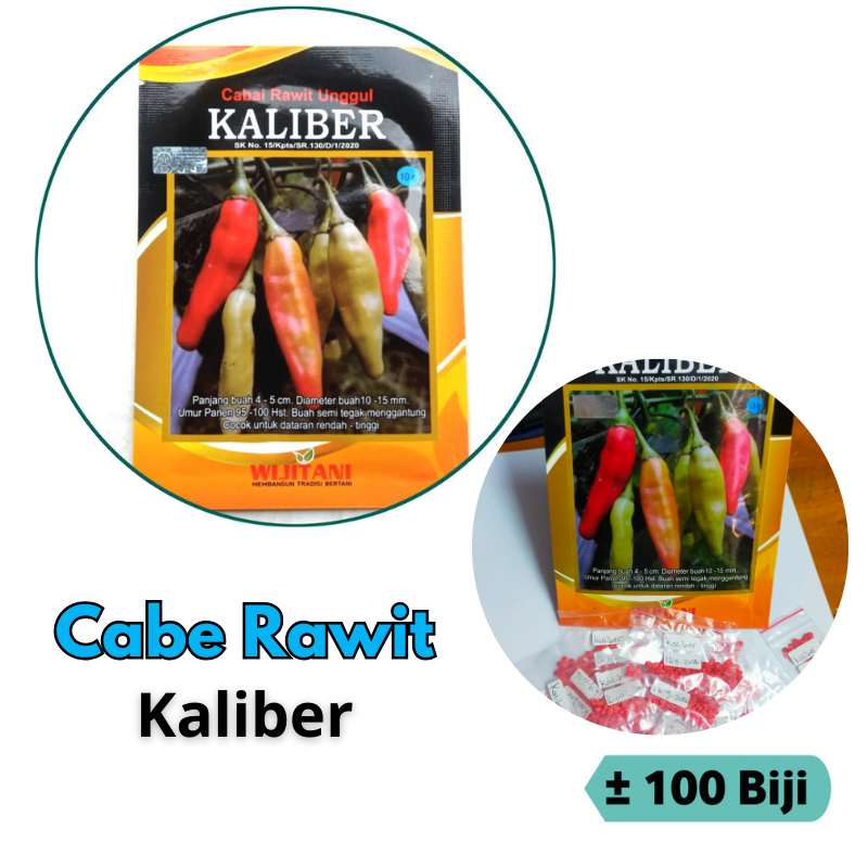 Jual Benih Cabe Rawit Kaliber isi 100 Biji | Shopee Indonesia
