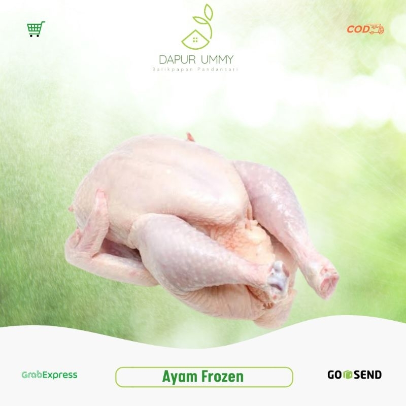 Jual FROZEN • Ayam Frozen • Ayam Beku • [Naik] | Shopee Indonesia