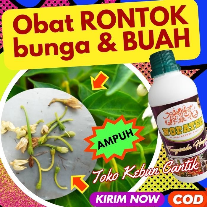 Jual Fungisida Organik NOPATEK 500ML untuk Mengatasi Rontok Bunga ...