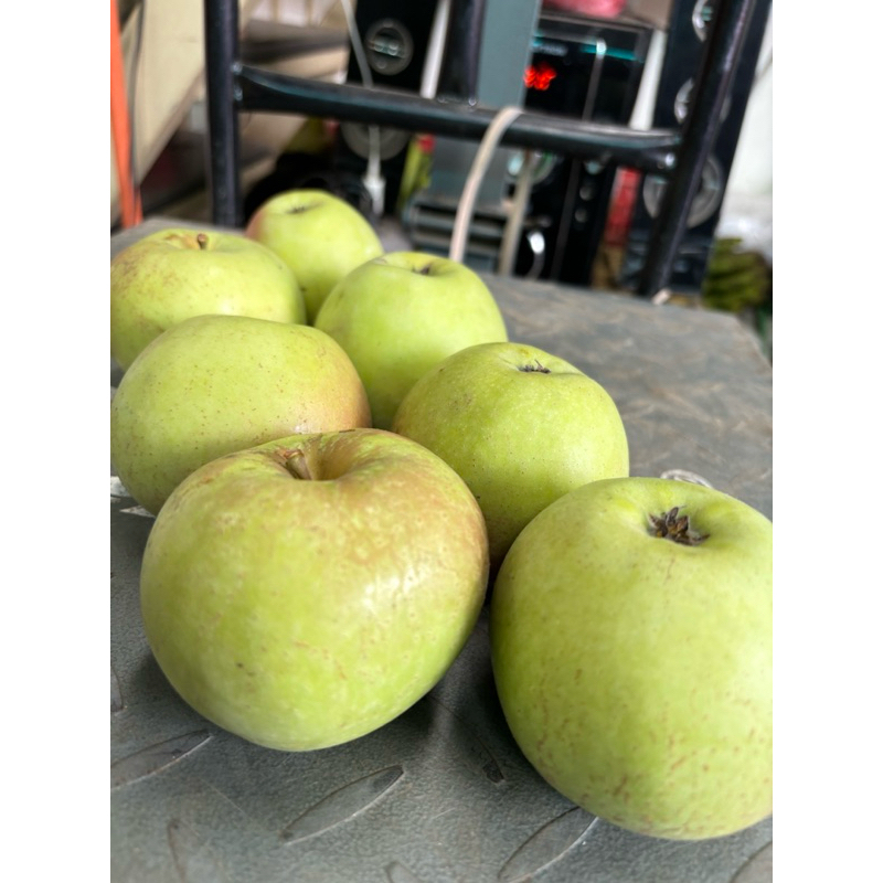 Jual Apel Manalagi AB (1kg)/ isi 7-9 buah/ Apel Malang Fresh | Shopee ...