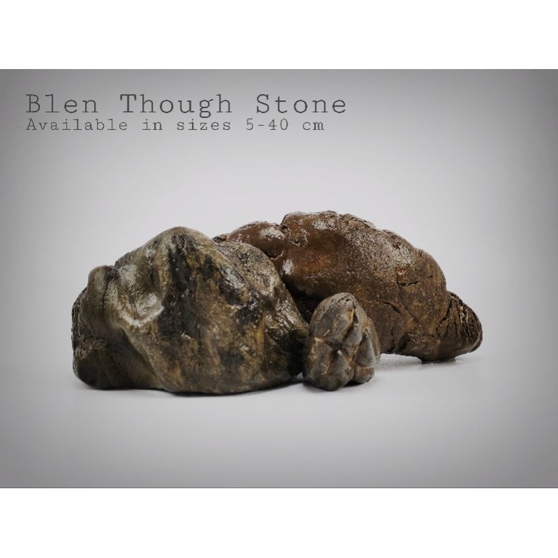 Jual Blen though stone untuk akuarium Hardscape 10KG | Shopee Indonesia