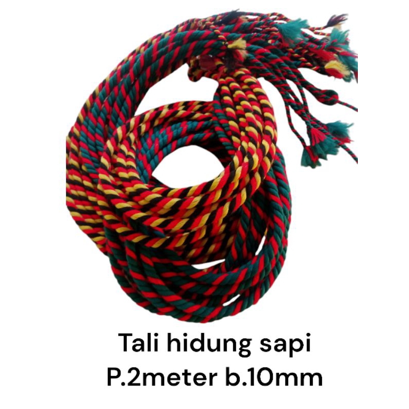 Jual tali tongar / hidung sapi kerbau panjang 2meter besar 10mm ...