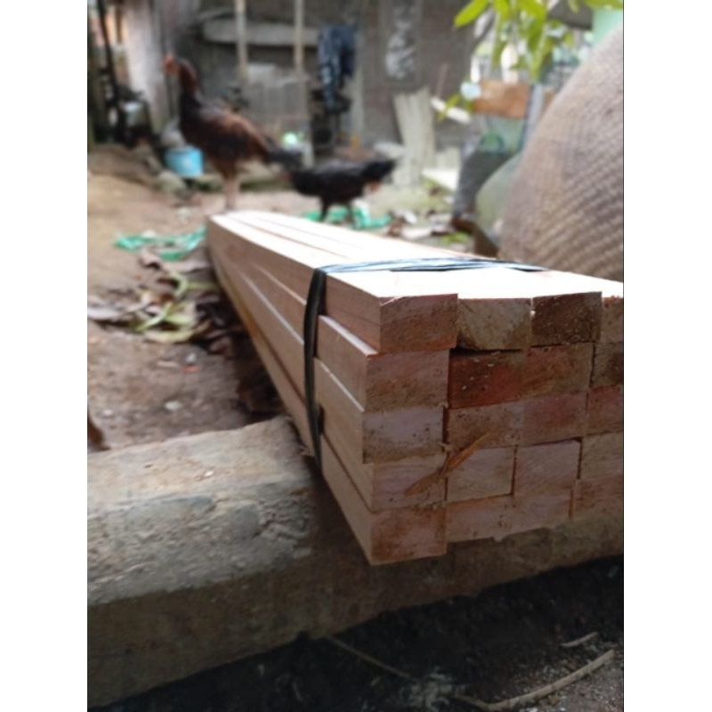 Jual Paket Kayu Reng 2x3 Bahan kayu solid Panjang 2 Meter Isi 10 Batang ...