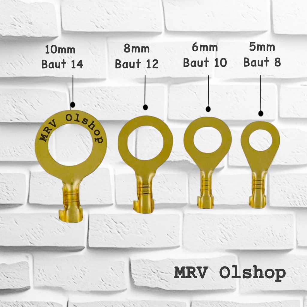 Jual (100 pcs) Skun Ring M5 M6 M8 M10 / Terminal Ring Amper Type H-1863 ...