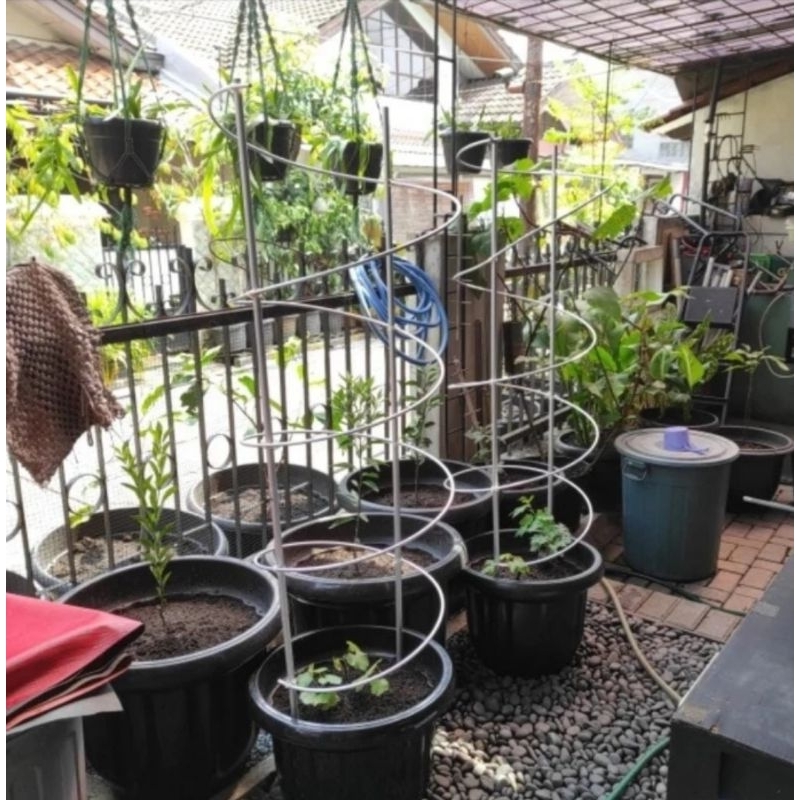 Jual Tiang Rambatan Tanaman Anggur Tabulampot Alumunium 150cm Ajir ...