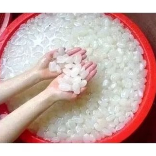 Jual kulang Kaling fres buat manisan atau buat kolak | Shopee Indonesia