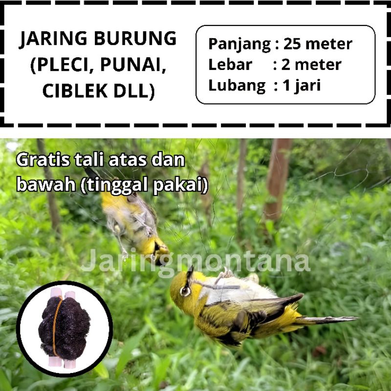 Jual PIKAT JEBAKAN BURUNG SIAP PAKAI JARING BURUNG KECIL JARING BURUNG ...