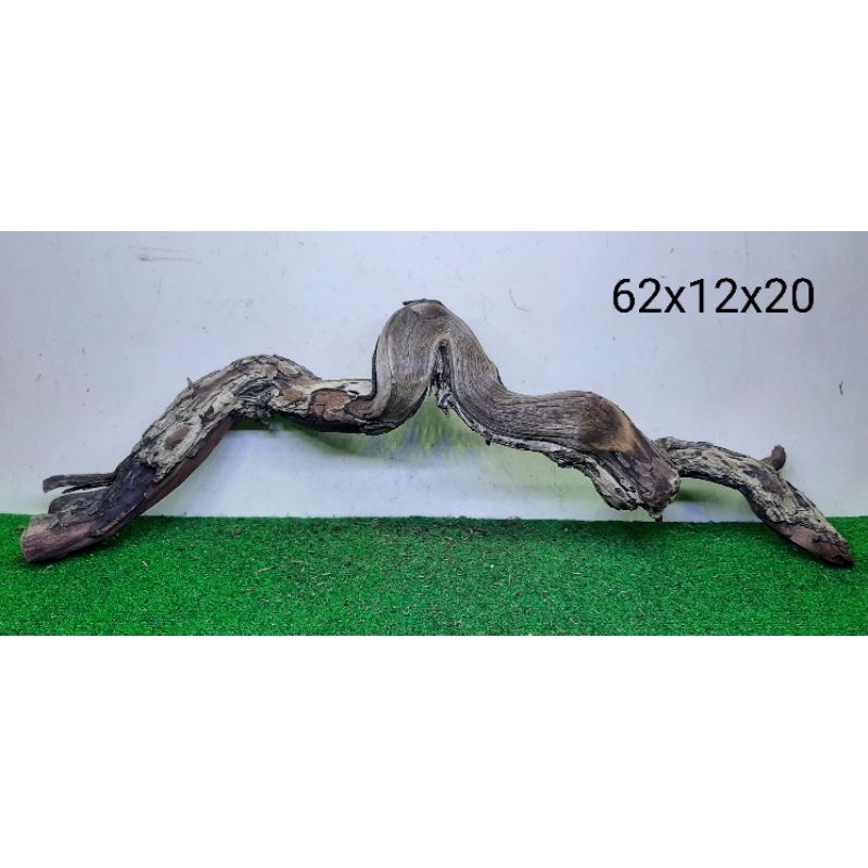 Jual Kayu Santigi Laut Kayu Tenggelam Aquascape Aquarium Taman 62x12x20 ...