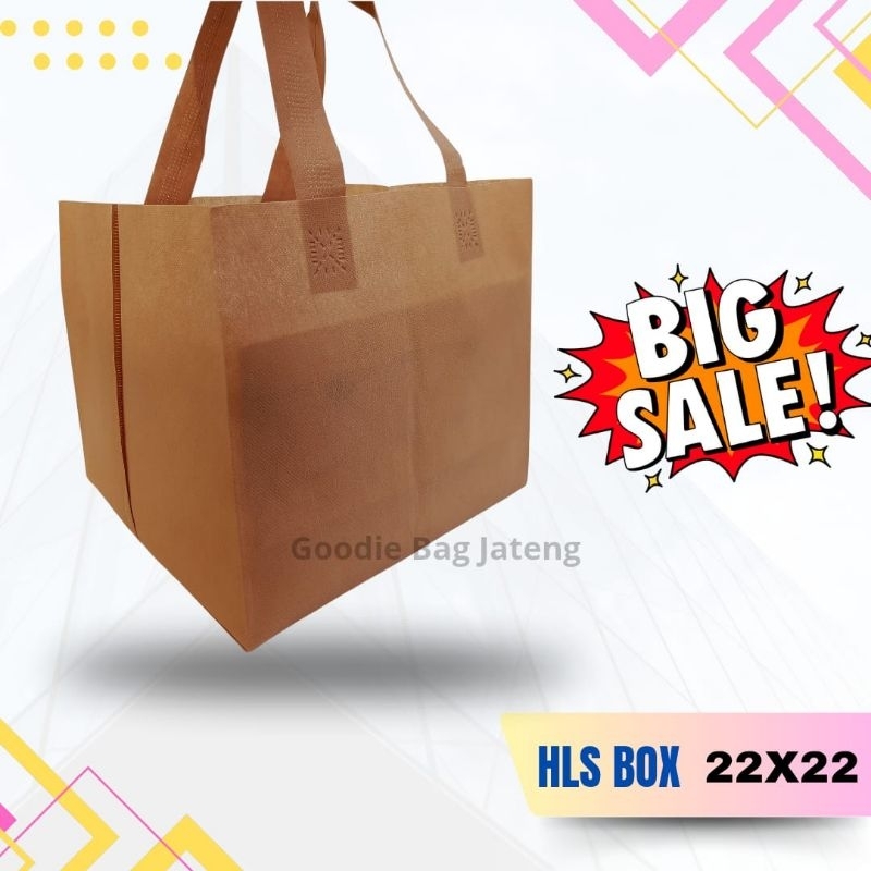 Jual (isi 12 PCS) Goodie Bag Spunbond MembentukTas Besek/ Box 22x22 - Harga per Lusin | Shopee ...