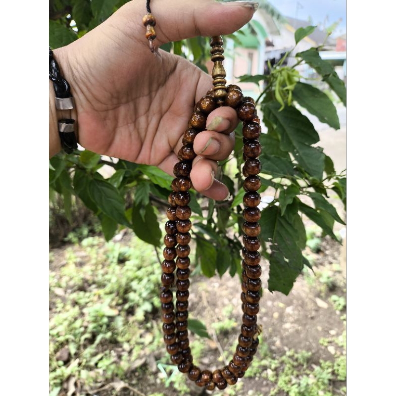 Jual TASBIH FOSIL AKAR BAHAR YUSER EMAS LAUT MERAH NATURAL 12MM ...