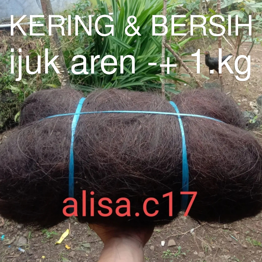 Jual Ijuk Aren Hitam Halus 1 Kg KERING BERSIH Ijuk Resapan Ijuk ...
