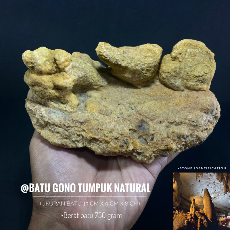 Jual Batu Gono Tumpuk Natural C20 atau Fosil Jamur Melinjo atau Batu ...