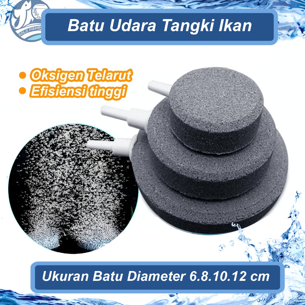 Jual Air Stone Batu Aerasi Aerator Bulat Pipih | Shopee Indonesia
