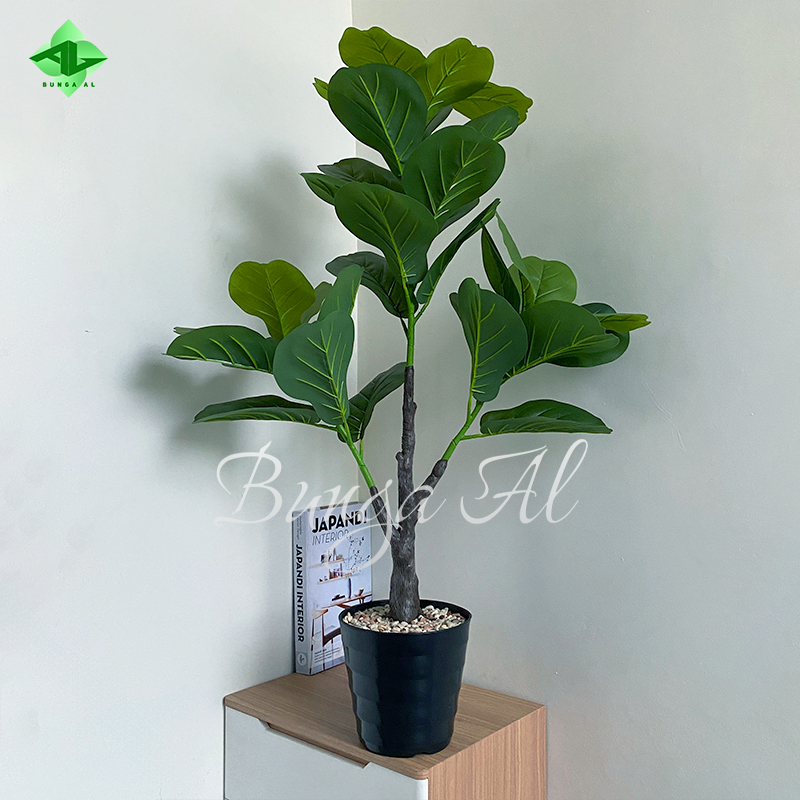 Jual 1 Set tanaman pohon ketapang C3 dekorasi hias ruangan sudut ...