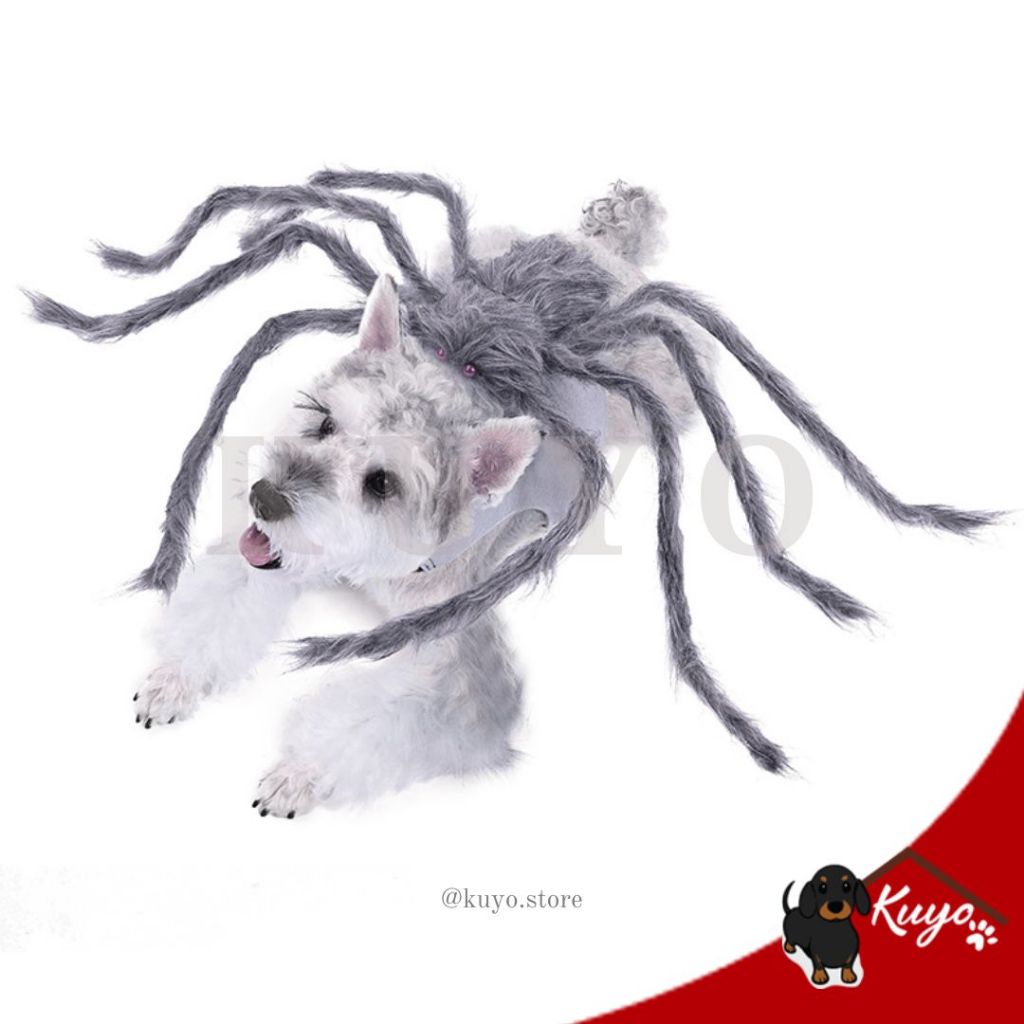 Jual Sellyliavitaliavita Kostum Baju Hewan Anjing Kucing Bulu Laba-Laba ...