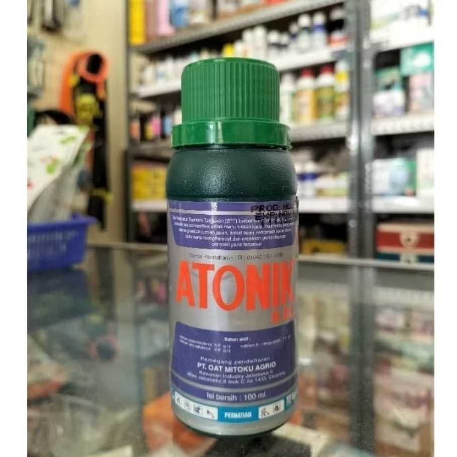 Jual ATONIK 100 ML (Kemasan Botol Kecil) | Shopee Indonesia
