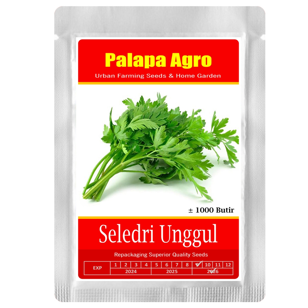 Jual Bibit Seledri Unggul - Benih Seledri Daun Isi ± 1000 Butir ...