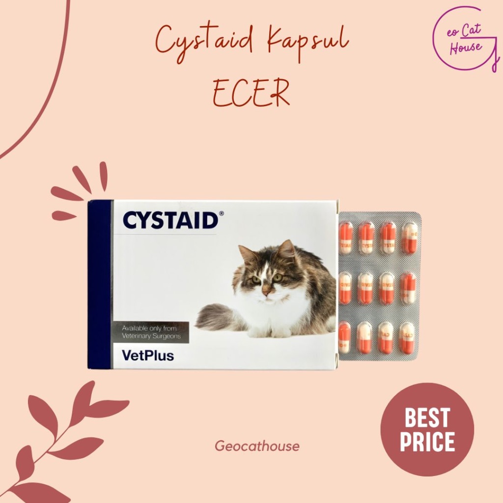 Jual Cystaid Plus CystaidPlus Kapsul ECER Obat Gangguan Saluran Kencing ...
