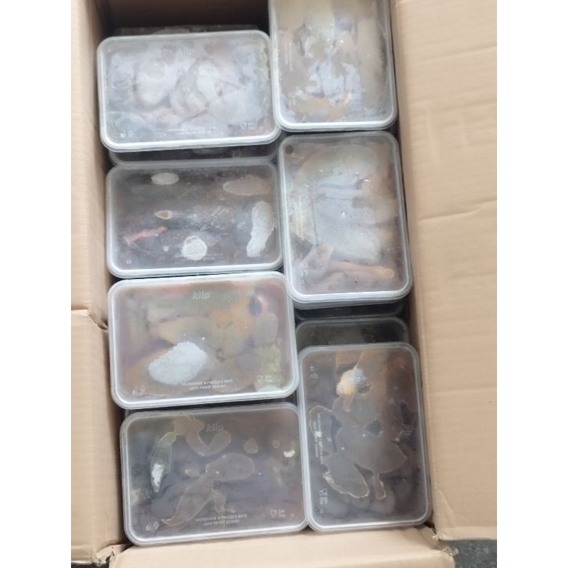 Jual telur lele kemasan 500gr | Shopee Indonesia