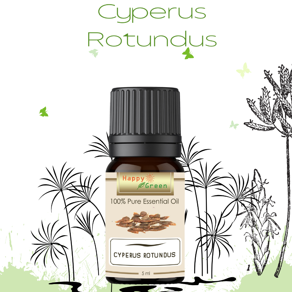 Jual Happy Green Cyperus Rotundus Essential Oil - Minyak Teki Ladang ...
