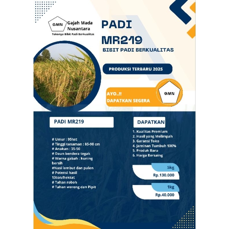 Jual Bibit Benih Padi Mr 219 Original 5kg | Shopee Indonesia