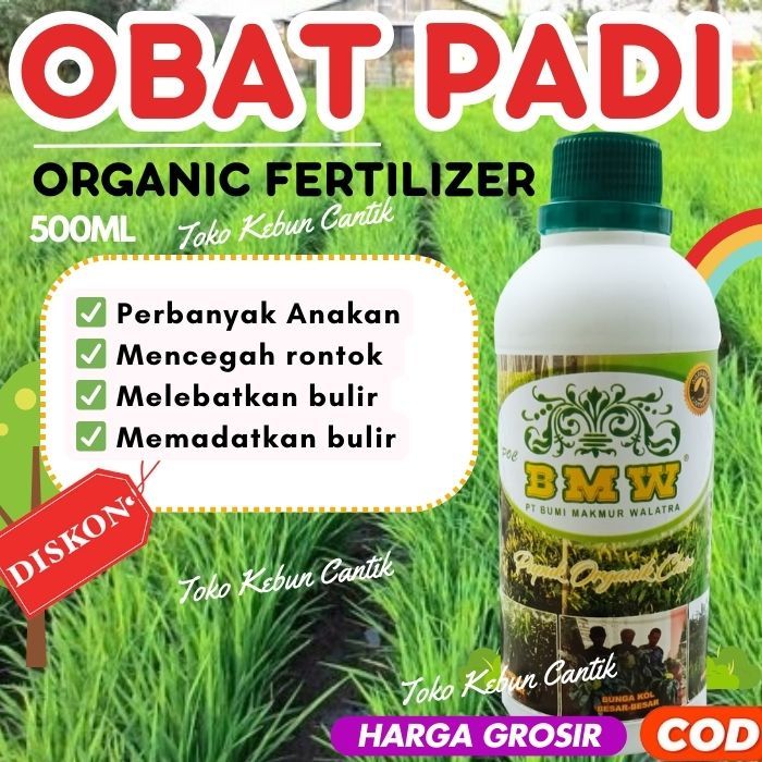 Jual Pupuk Pembesar Buah Padi - Pelebat dan Booster Padi untuk Hasil Panen Super Lebat POC BMW ...