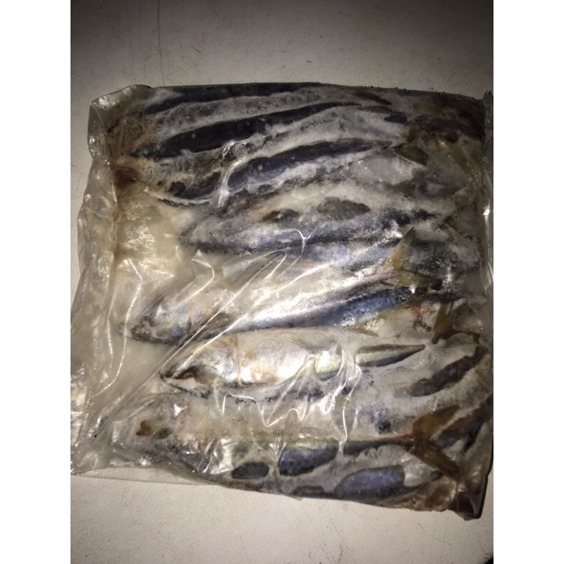 Jual Ikan Layang Fresh Segar 1Kg BERGARANSI | Shopee Indonesia