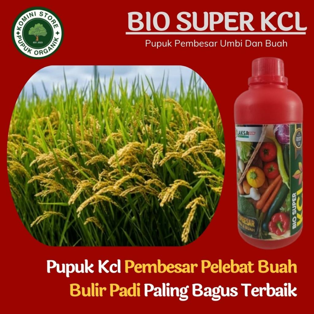 Jual BIO KCL 500ML PUPUK Cair Untuk Booster Buah Bulir Padi Paling Manjur Terbaik - Obat ...
