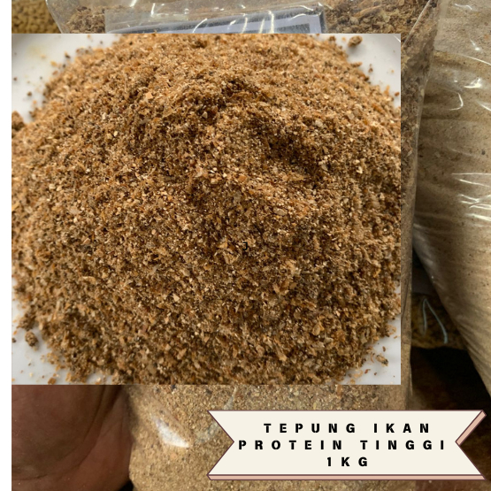 Jual tepung ikan protein tinggi mengandung 55-60% kemasan 1kg dan 5kg | Shopee Indonesia