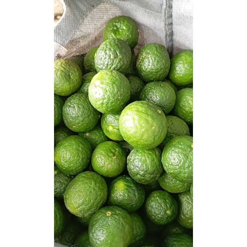 Jual jeruk limau/limo ukuran sedang dan besar untuk sate/Lamongan 1kg ...