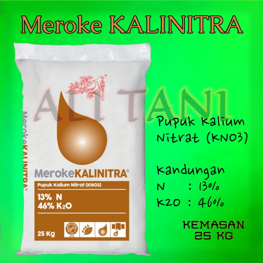 Jual (25 KG) KALINITRA Pupuk Kalium Nitrat Hidroponik untuk Nutrisi ...