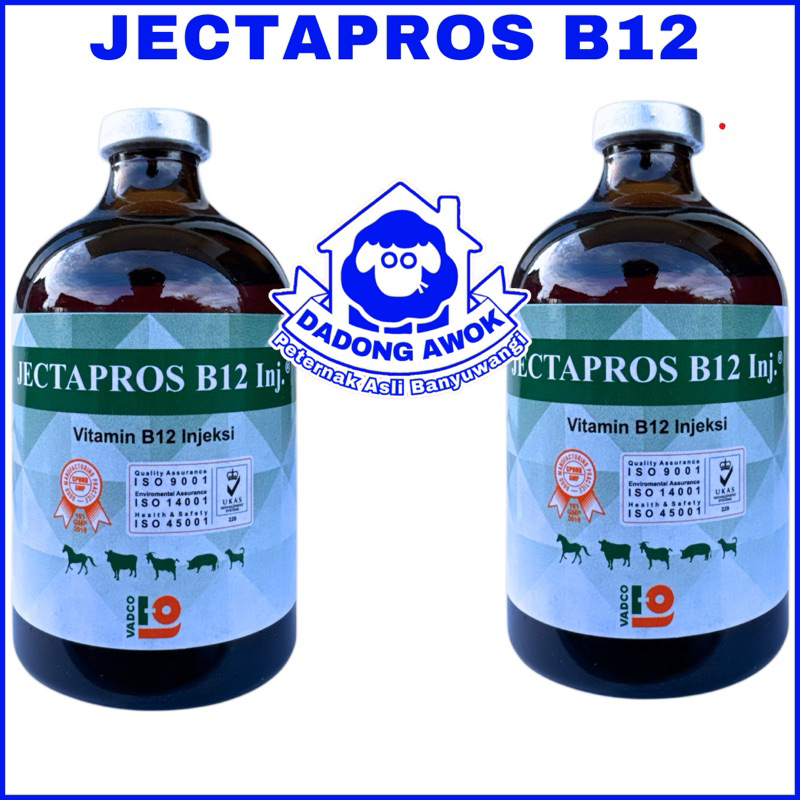 Jual Vitamin B12 Hewan - JECTAPROS B12 100ML Vitamin B12 Injeksi Hewan ...