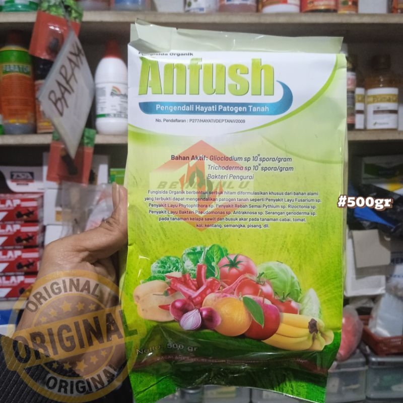 Jual Fungisida ANFUSH 500 gram Jamur Trichoderma dan Gliogladium ...