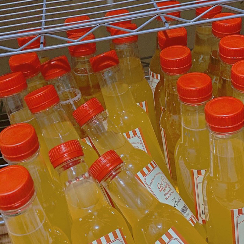 Jual Natural Sparkling Kombucha Halal Organic Black Green Tea Cane ...