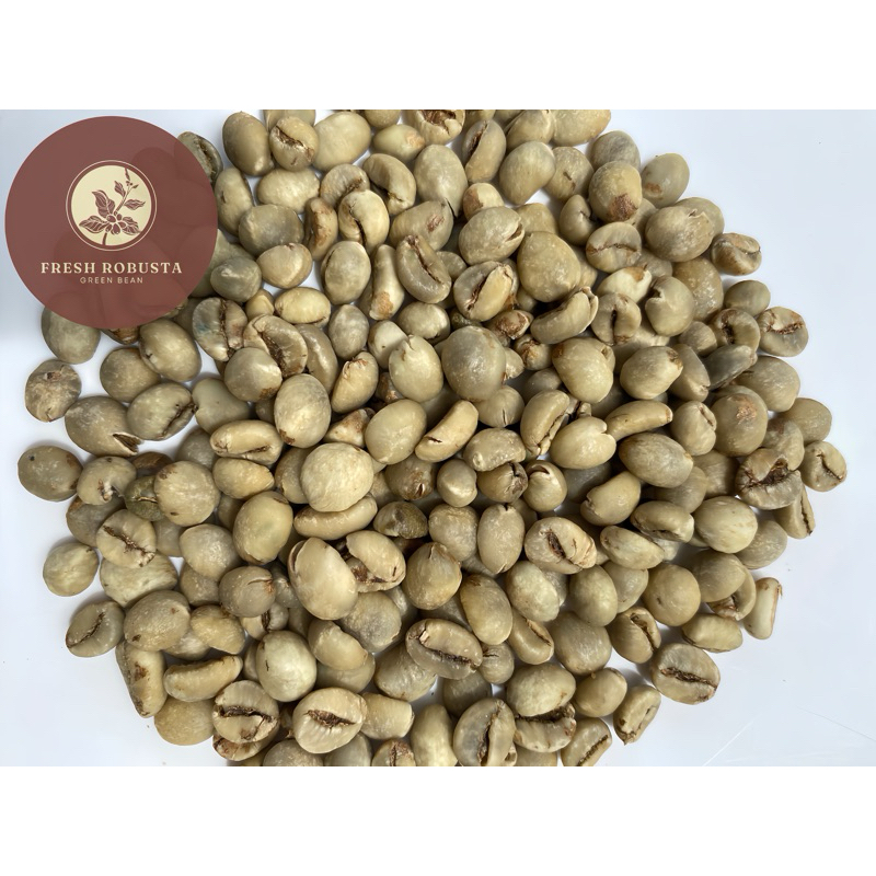 Jual GREEN BEAN ROBUSTA JAVA GRADE 1 ( 5KG ) | Shopee Indonesia