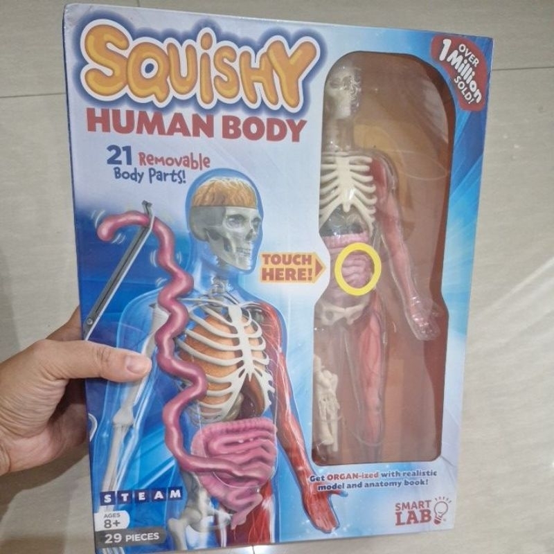 Jual Squishy Human body | Shopee Indonesia