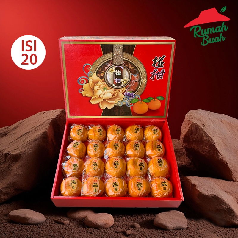 Jual GIFT BOX BUAH JERUK PONKAM IMLEK SINCIA CNY | Shopee Indonesia