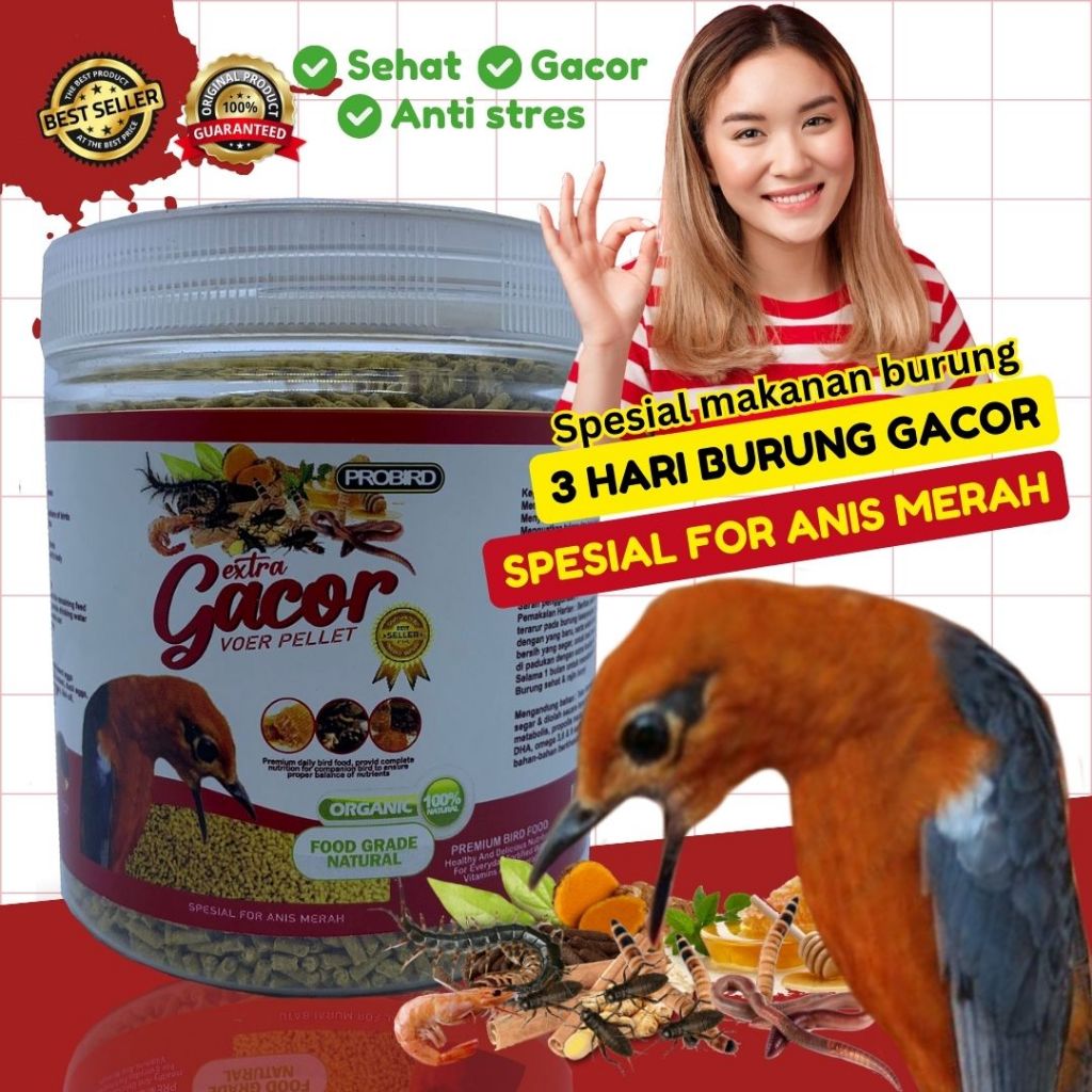 Jual Voer extra gacor probird spesial anis merah cepat gacor anti stres ...