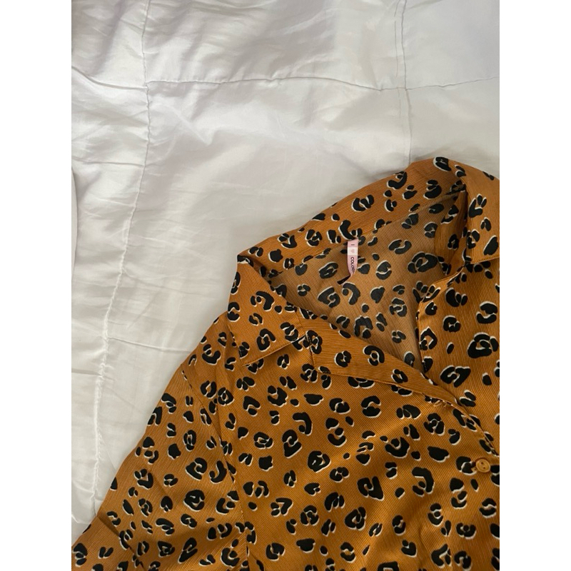 Jual Colorbox 2in1 Orange - A26 | Shopee Indonesia