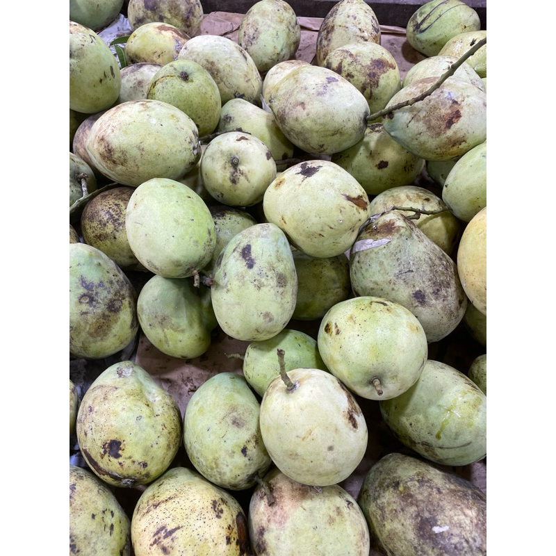 Jual Buah Mangga Rujak per 1kg ready | Shopee Indonesia