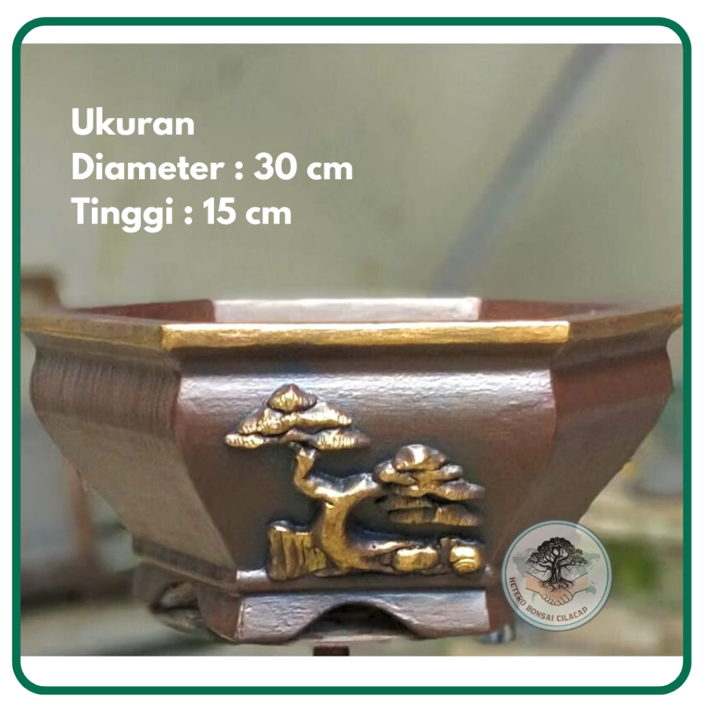 Jual POT BONSAI RELIEF TANAMAN HIAS MOTIF UNIK SEGI ENAM | Shopee Indonesia
